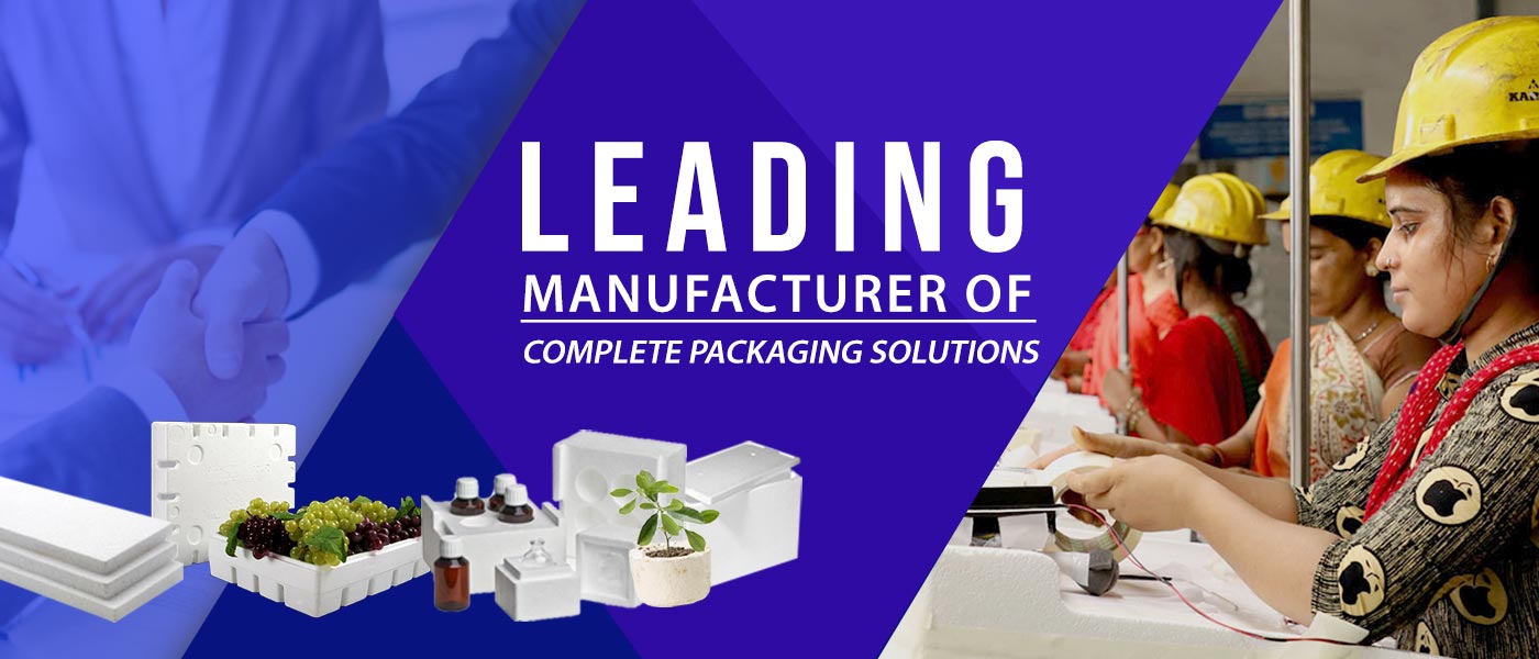 EPACK Group Overview in Greater Noida, India